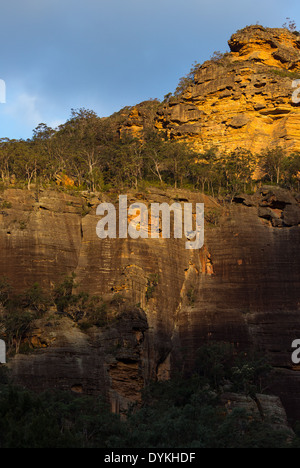Sandstone escarpment in warm evening sunlight, Wollemi National Park ...