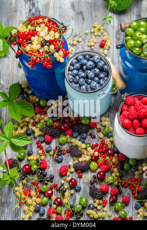Closeup of collecting fresh wild berries Stock Photo - Alamy