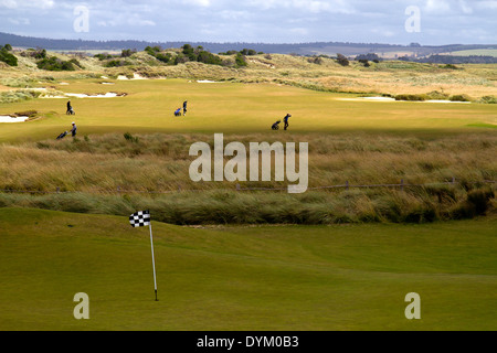 Barnbougle Lost Farm golf course Stock Photo - Alamy