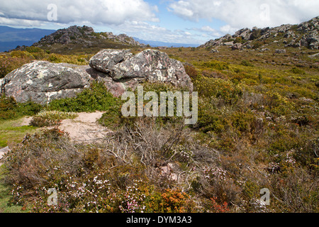 Summit plateau on Mt Roland Stock Photo - Alamy
