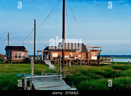 Rustic salt marsh bay shack, Wildwood, New Jersey, USA Stock Photo - Alamy