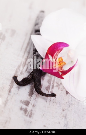 Vanilla sticks and flower on white background Stock Photo - Alamy