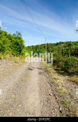 Rural Country Road in Puerto Princesa, Palawan, Philippines Stock Photo ...