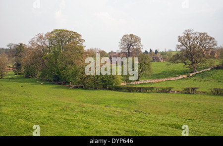 The village of Upper Harlestone Northamptonshire Stock Photo - Alamy