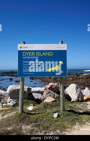 Information board at Kleinbaai harbour in Gansbaai on African Penguins ...