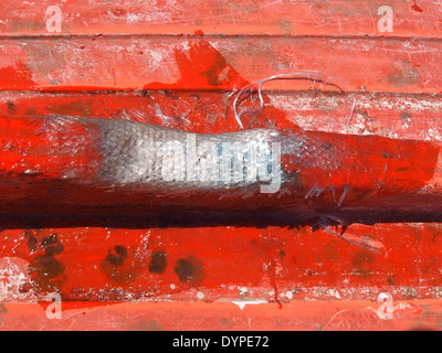 repairing old red plastic boat Stock Photo - Alamy