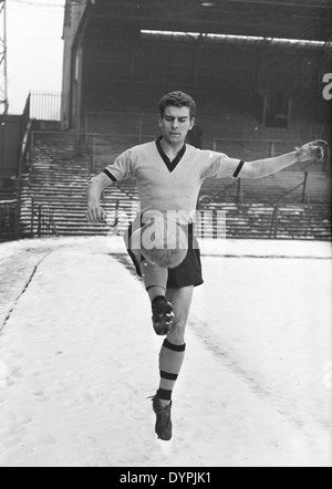 Footballer Bobby Mason for Wolverhampton Wanderers FC January 1952 ...