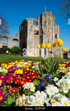 Pretty spring flowers in the Newark Castle Gardens, Nottinghamshire ...