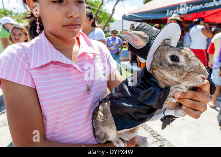 A Pet Rabbit In Carnival Costume During The Cozumel Carnival, Cozumel ...