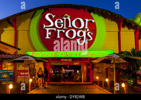 Senor Frog's Bar/Restaurant, Cancun, Quintana Roo, Mexico Stock Photo ...