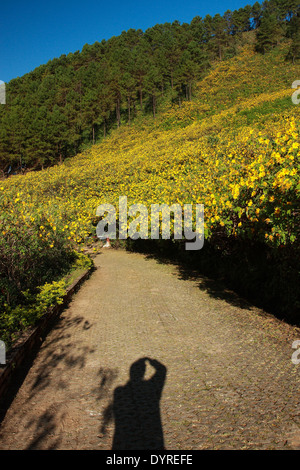 Thung Bau Thong Forest Park, Doi Mae U-Kor,Khum Yuam, Mae Hong Son ...