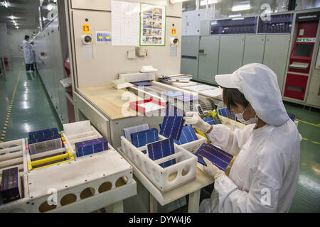 A worker examines wafers after Screen Printing at a standard line of ...