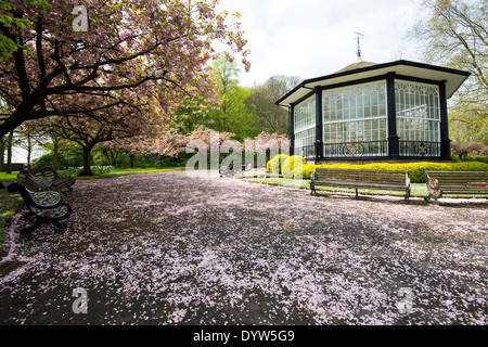 Spring blossom at the Bandstand, Nottingham Castle Nottinghamshire ...