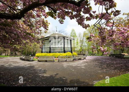 Spring blossom at the Bandstand, Nottingham Castle Nottinghamshire ...
