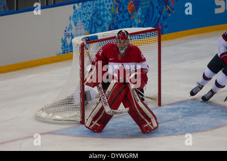 Charline Labonte Canadian goalie, USA-Canada Women's Ice Hockey at the ...