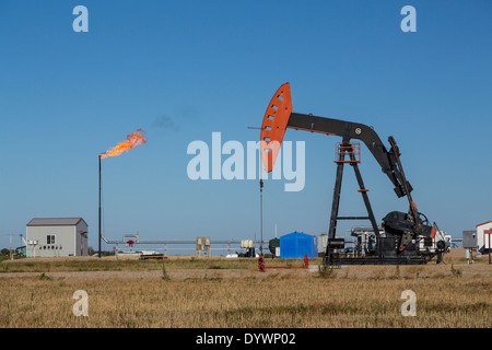 An oil production pumper and flaring gas in the Bakken field near ...