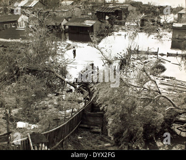 This photo shows the aftermath of Hurricane Janet's destruction in ...