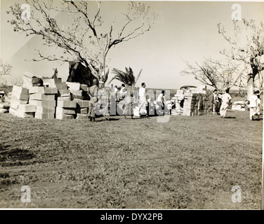 This image documents food collection efforts during the Hunger Winter ...