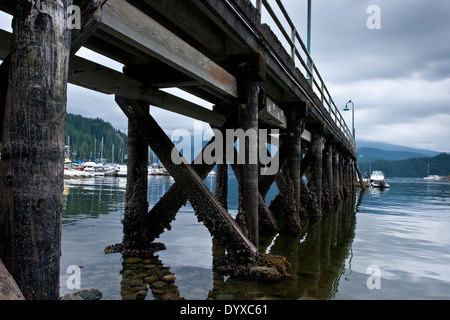 low tide view under barnacle covered wooden pier across calm inlet to ...