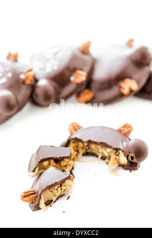 Gourmet Caramel Pecan Turtles made with milk chocolate and whole pecans ...