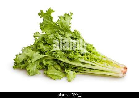 fresh green frisee lettuce isolated on white background. Vegetable ...