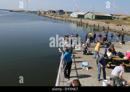 Hvide Sande, Denmark. 27th Apr, 2014. Herring Festival 25 - 27th April ...