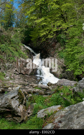 Mortain, Grand Cascade Stock Photo - Alamy
