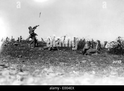 German barbed wire, Western Front, France, WW1 Stock Photo - Alamy