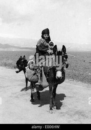 Egyptian peasant rides on a donkey on the tar road along banana ...