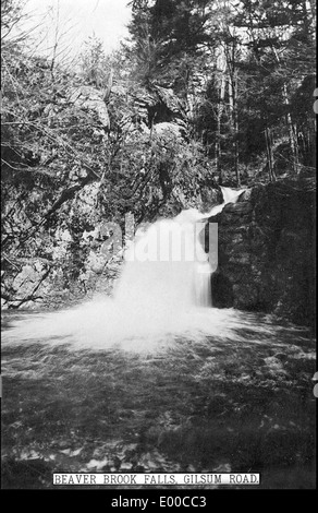 A beaver in its natural habitat, showcasing its distinctive features ...