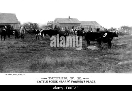 This painting 'New Fields, New Hampshire' depicts rural landscapes ...