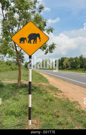 Road sign "caution elephants" on the track in Thailand Stock Photo - Alamy
