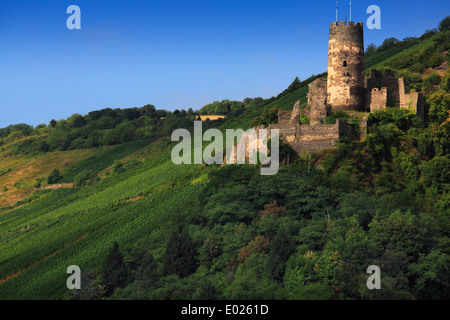 Photo of Furstenberg Castle ruins, above Rheindiebach, with vineyards ...