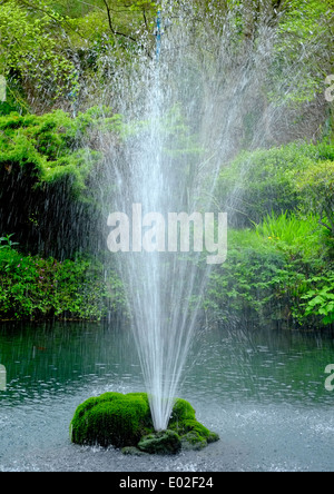 Fountain with a green foliage background Derwent gardens Matlock Bath ...