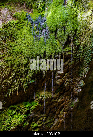 Mountain landscape with mossy green rocks and severe cloudy sky with ...