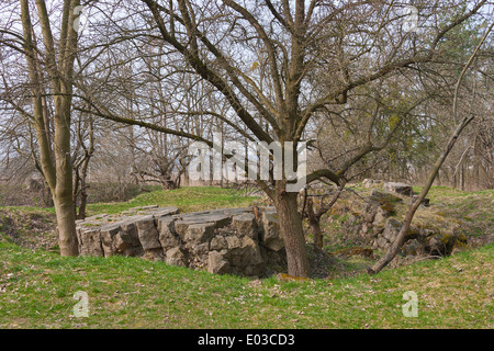 Concrete ruins of Adolf Hitler residence Werwolf near Vinnitsa, Ukraine ...