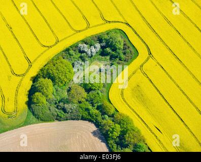 Muencheberg, Germany. 29th Apr, 2014. View from a small aircraft onto a ...