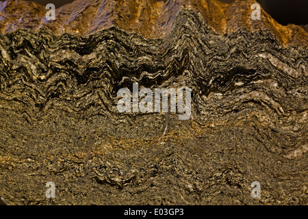 crystalline schist metamorphic rock mineral isolated on white ...