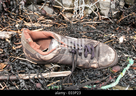 Used old shoe washed up on the shore of a beach, highlighting the ...