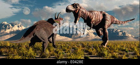 A tyrannosaurus rex or T Rex and triceratops dinosaur fight scene ...