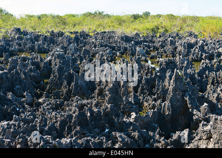 Rock Formations in Hell, Grand Cayman, Cayman Islands, Greater Antilles ...