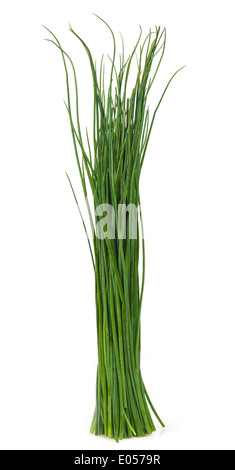 bunch of fresh Chives herbs isolated on white background. bunch of ...
