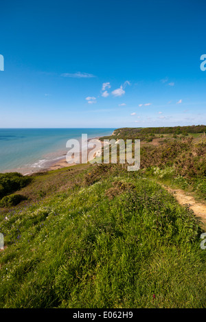 View of Hastings Country Park, and Fairlight cliffs Stock Photo - Alamy