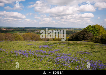View of Fairlight in East Sussex, near Pett Level and Hastings Stock ...