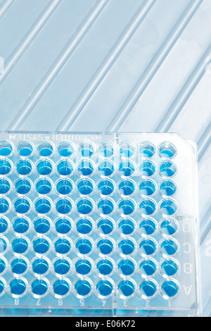 Deep well testing tray Stock Photo - Alamy