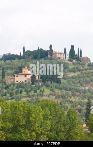 Villas amongst cypress trees on a Tuscan hillside outside Florence ...