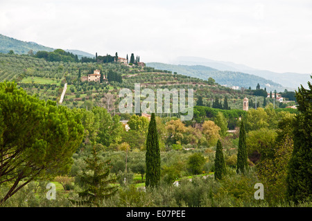 Villas amongst cypress trees on a Tuscan hillside outside Florence ...