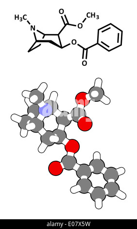 Cocaine. Chemical formula, molecular structure. 3D rendering Stock ...