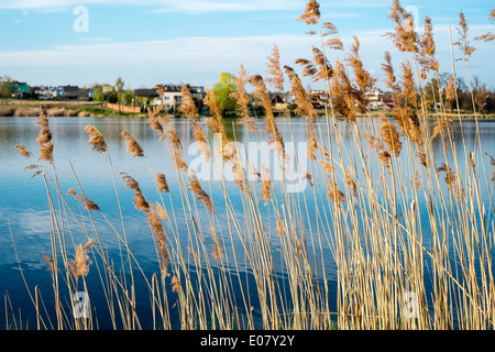 Lubianka lake river Starachowice Swietokrzyskie Poland Stock Photo - Alamy
