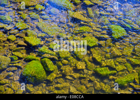 The bed of the River Nent. Alston, Cumbria, England, United Kingdom ...